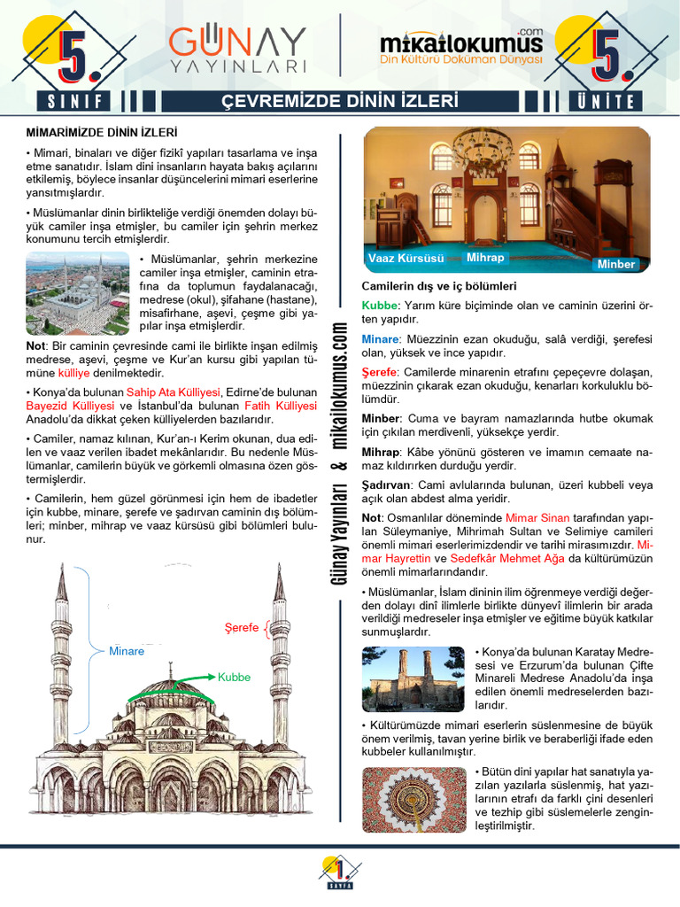 Dkab 5. Ünite Notları | PDF