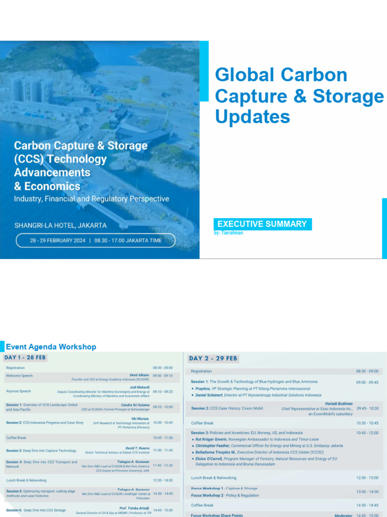 Global CCS Workshop Summary - Feb 2024 | PDF