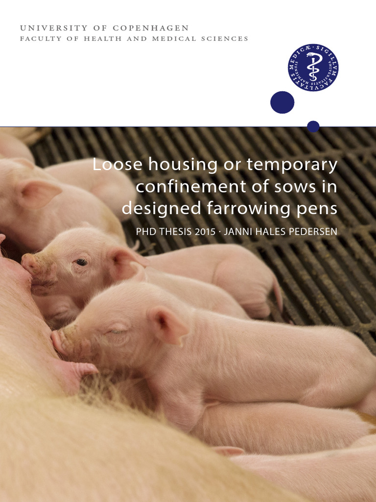 Loose Housing or Temporary Confinement of Sows in Designed Farrowing ...