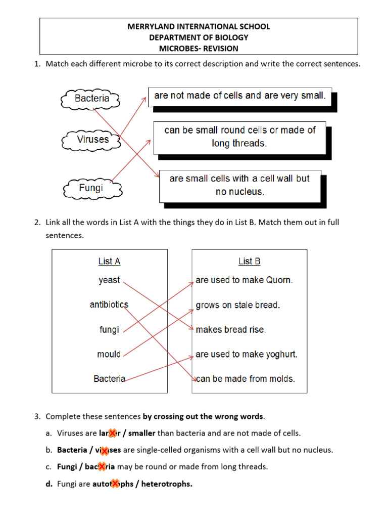 Microbes Revision Answer Key | PDF | Microorganism | Fungus