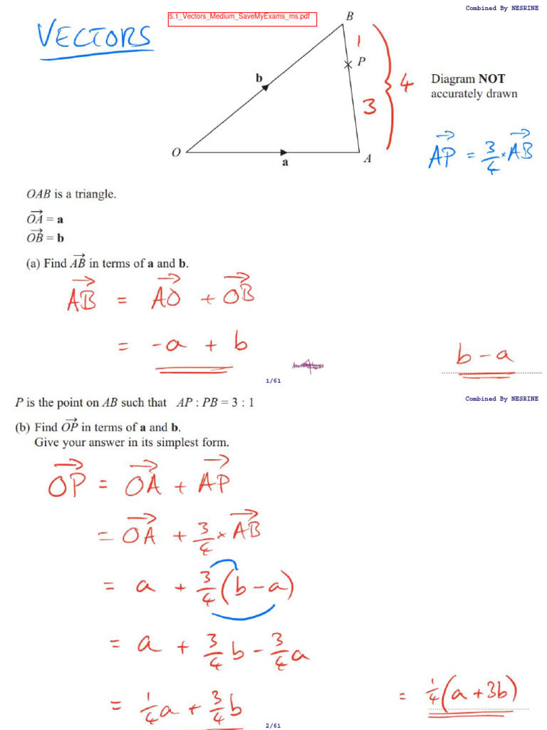 5.Nesrine-Vectors and Transformation Geometry - MS | PDF