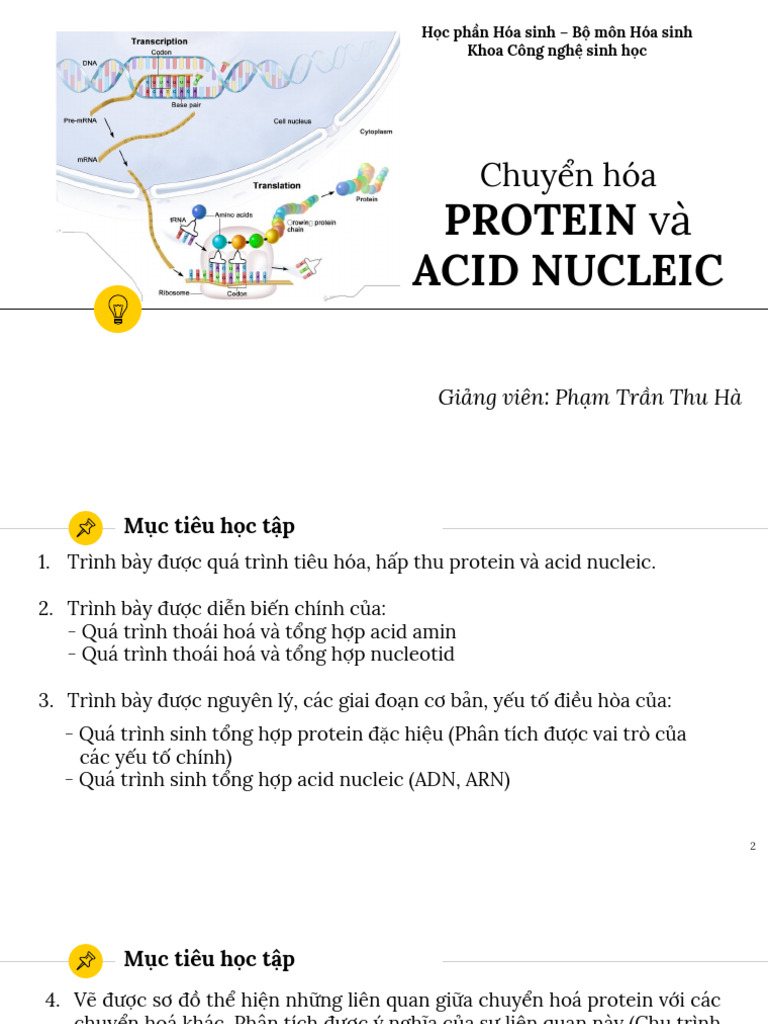 CH Protein Và AN.K76 | PDF