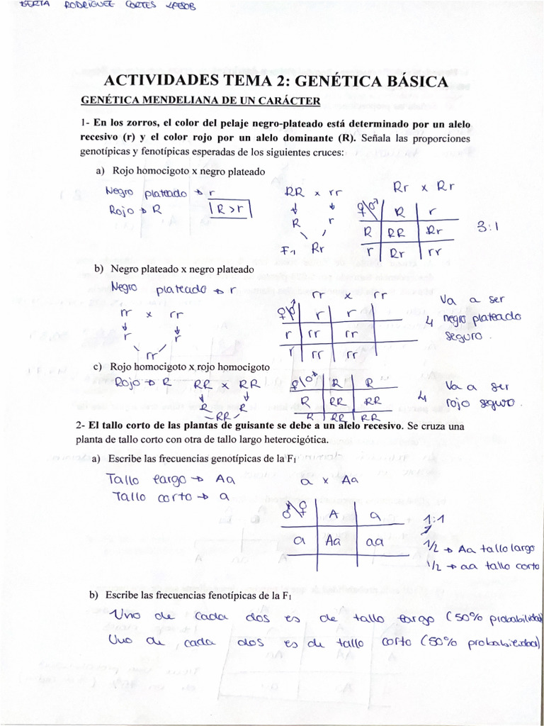 Actividades (22 Abr 2024 A La(s) 2038) | PDF