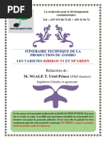 Guide de culture du macabo au Cameroun | PDF | Fertilisant | Maïs
