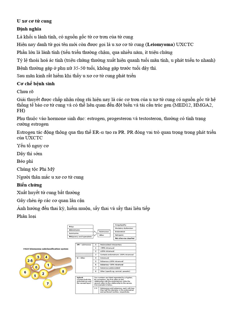 U Xơ Cơ T Cung | PDF