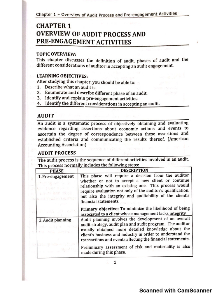 01 - Audit Process | PDF