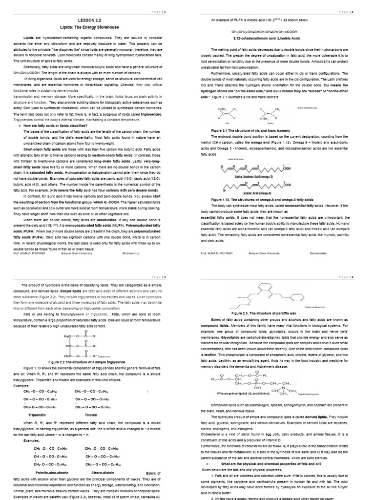 CHEM Lessons 2-3 | PDF | Fatty Acid | Lipid