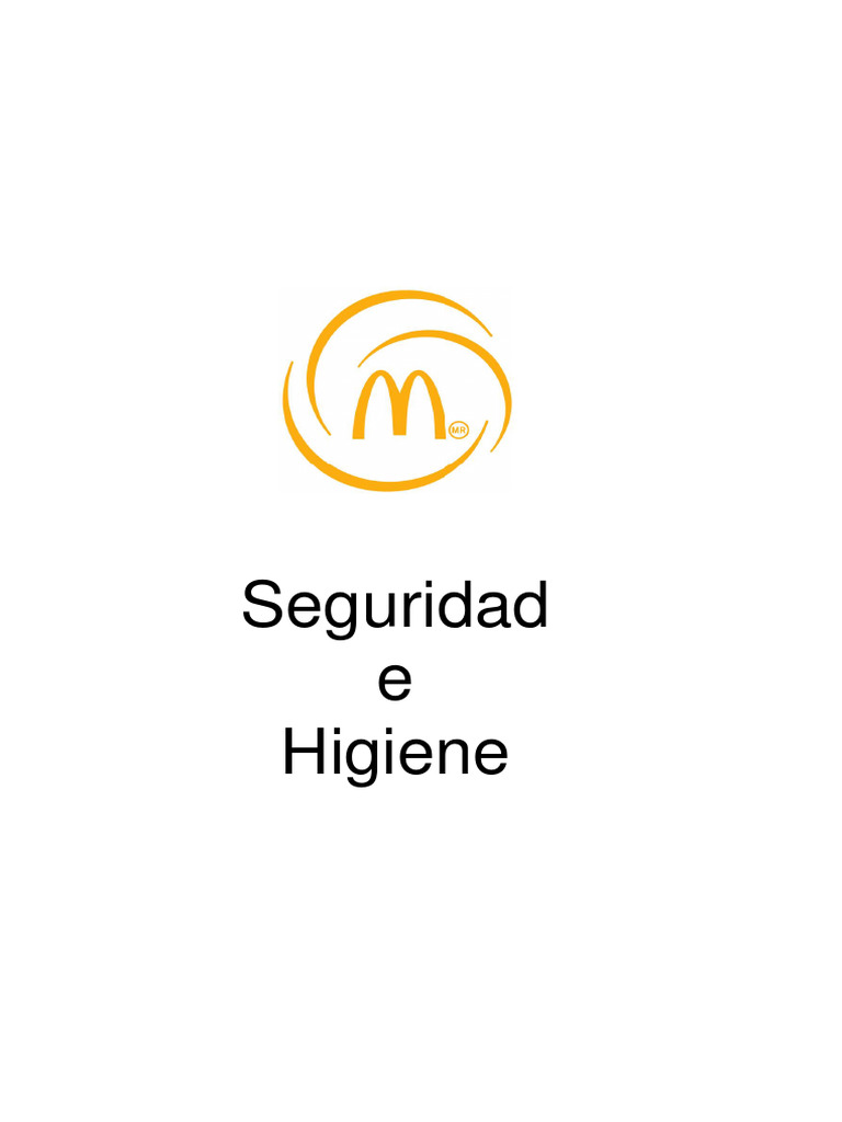 Cap Tulo Nro 2 Seguridad e Higiene | PDF | Combustión | Calor