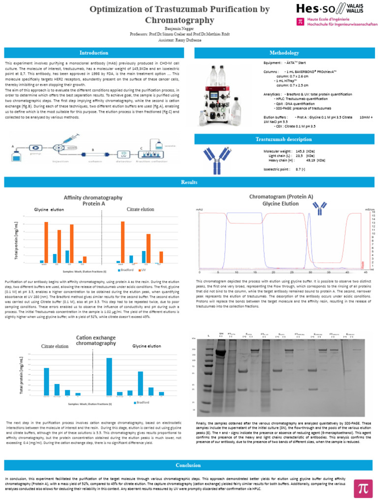 Poster Trastuzumab (Final) | PDF | Protein Purification | Chromatography