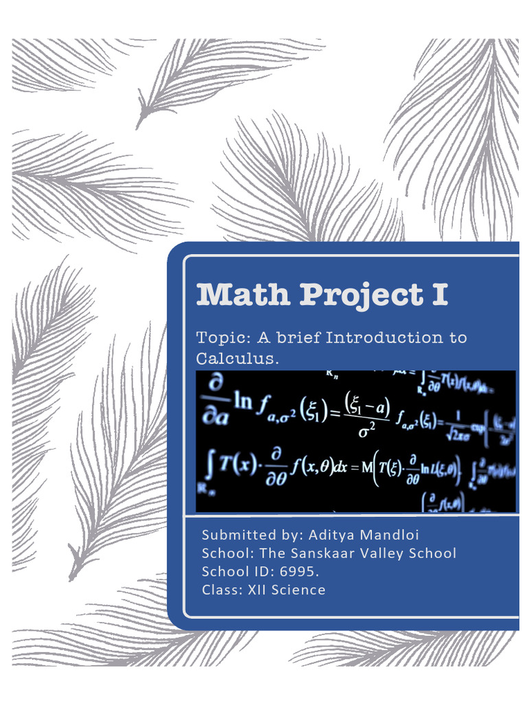 Math Project I - Aditya Mandloi XIIS | PDF | Calculus | Physics