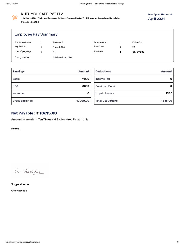 Free Payslip Generator Online - Create Custom Payslips | PDF