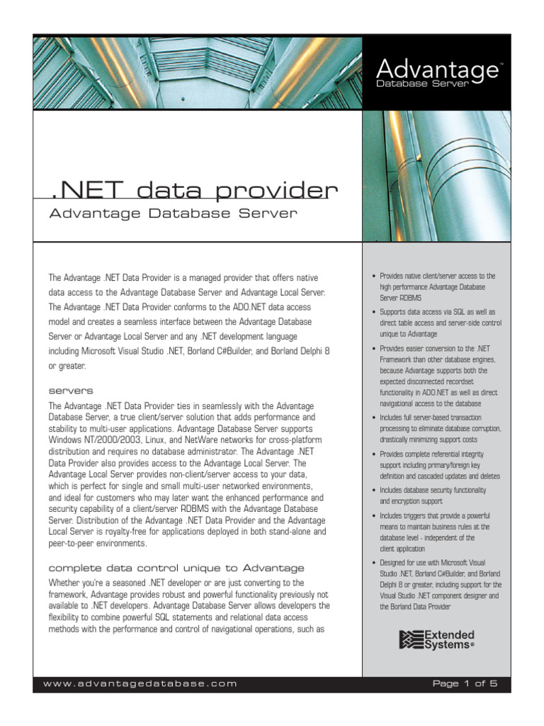 ADV .NET Data Provider | PDF | Databases | Integer (Computer Science)