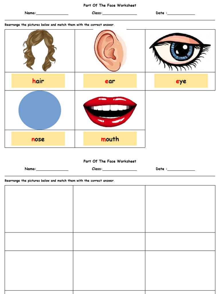 Face Parts Matching Worksheet | PDF