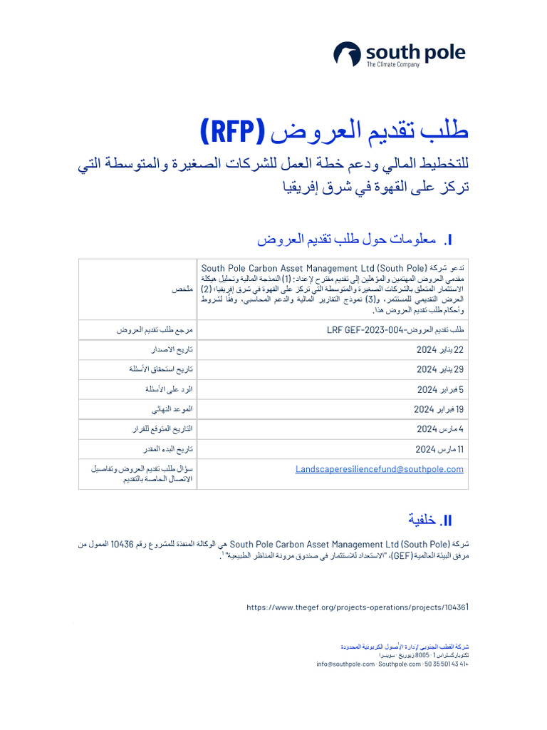 RFP LRF GEF 2023 004 Financial Planning Business Plan | PDF
