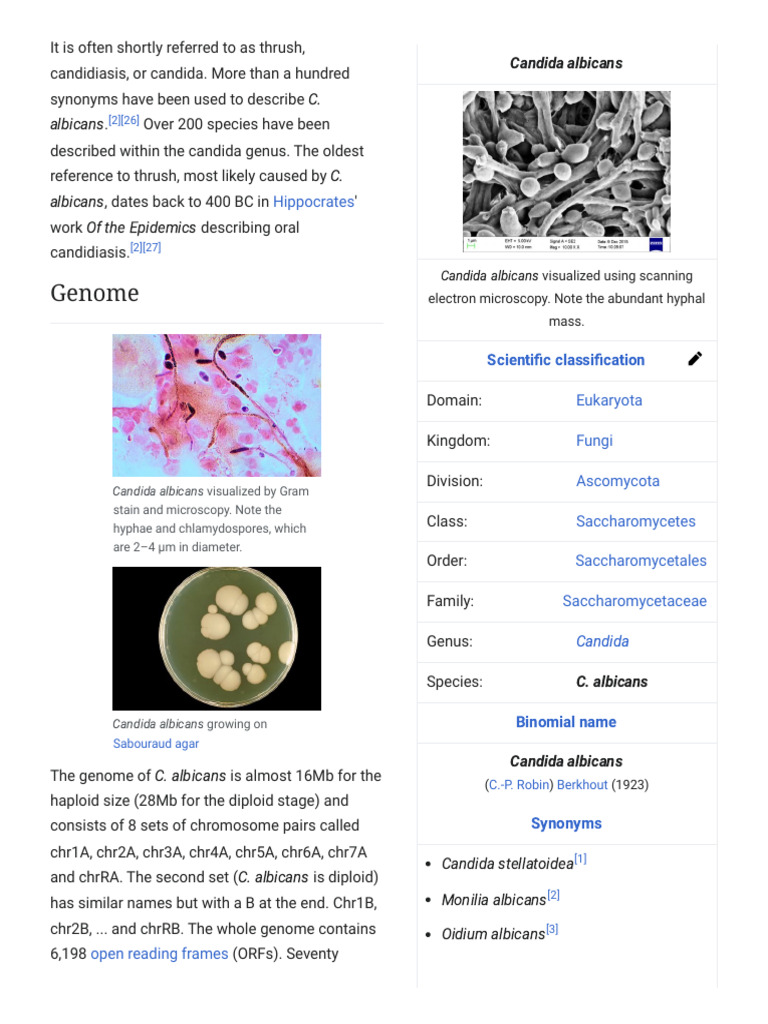 Candida Albicans - Wikipedia | PDF | Candidiasis | Organisms