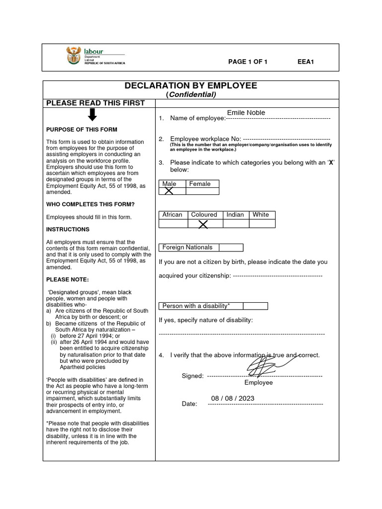 Employee Equity Declaration Form | PDF | Employment | Citizenship