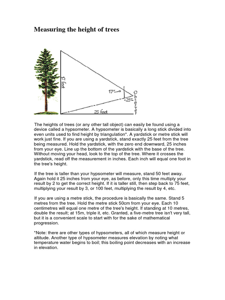 Measuring The Height of Trees | PDF