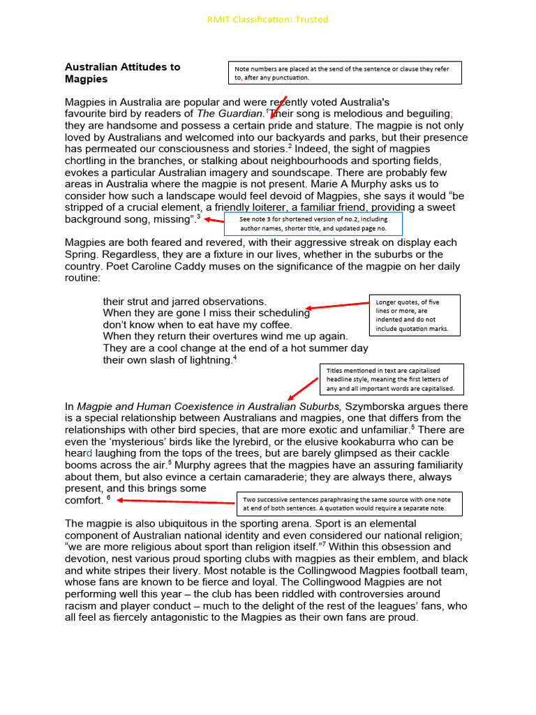 Sample Essay - Endnotes | PDF