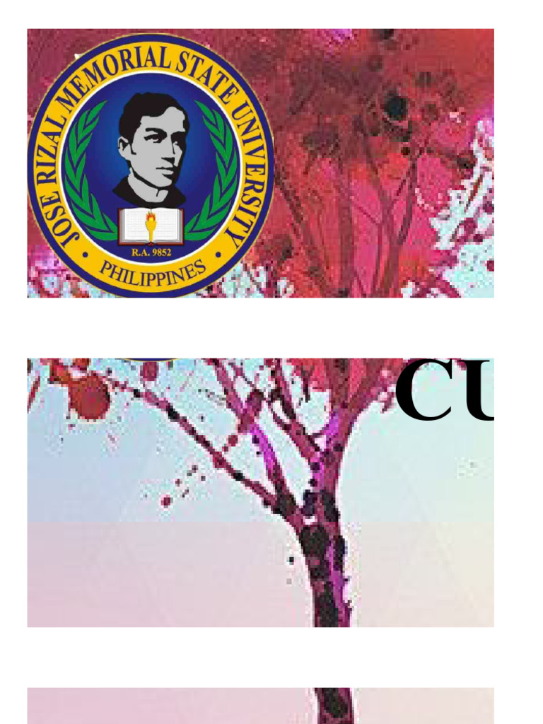 Tarp Culminating 114213 | PDF