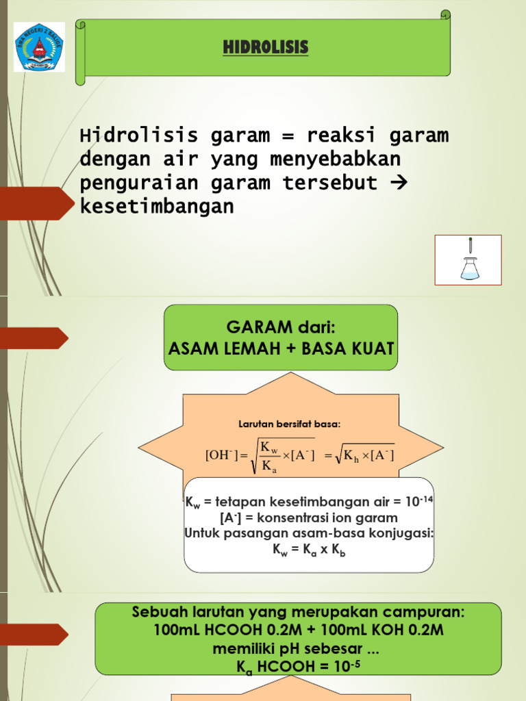 Hidrolisis | PDF