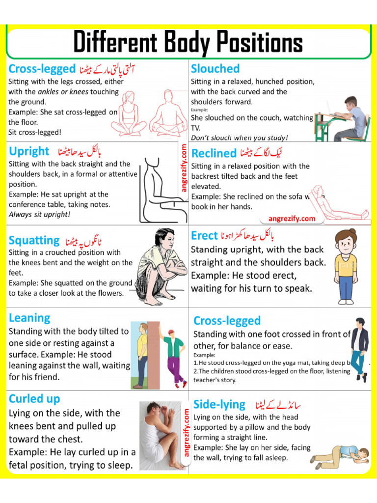 Body Positions Vocabulary PDF 1 | PDF