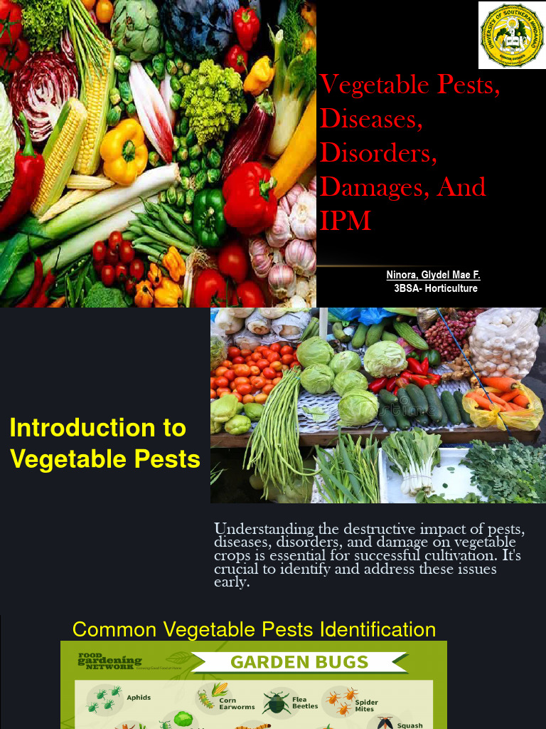 Major 4 Vegetable Report 1 | PDF | Pest (Organism) | Pest Control