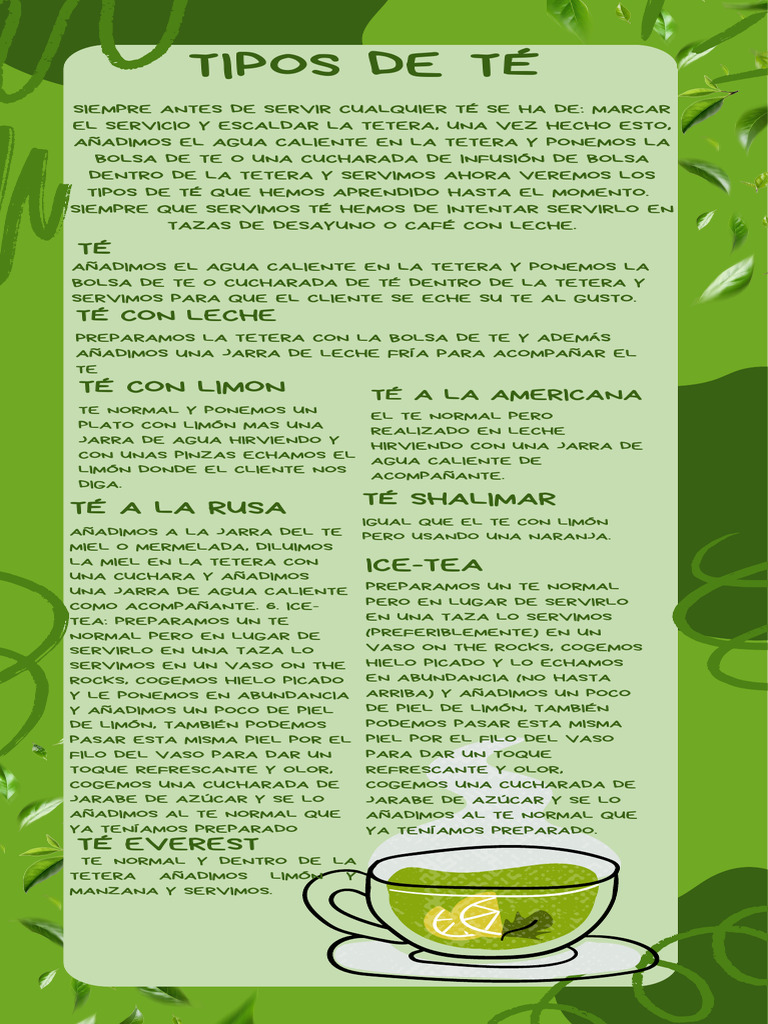 Infografía Informativa Té Matcha Ilustrado Verde | PDF