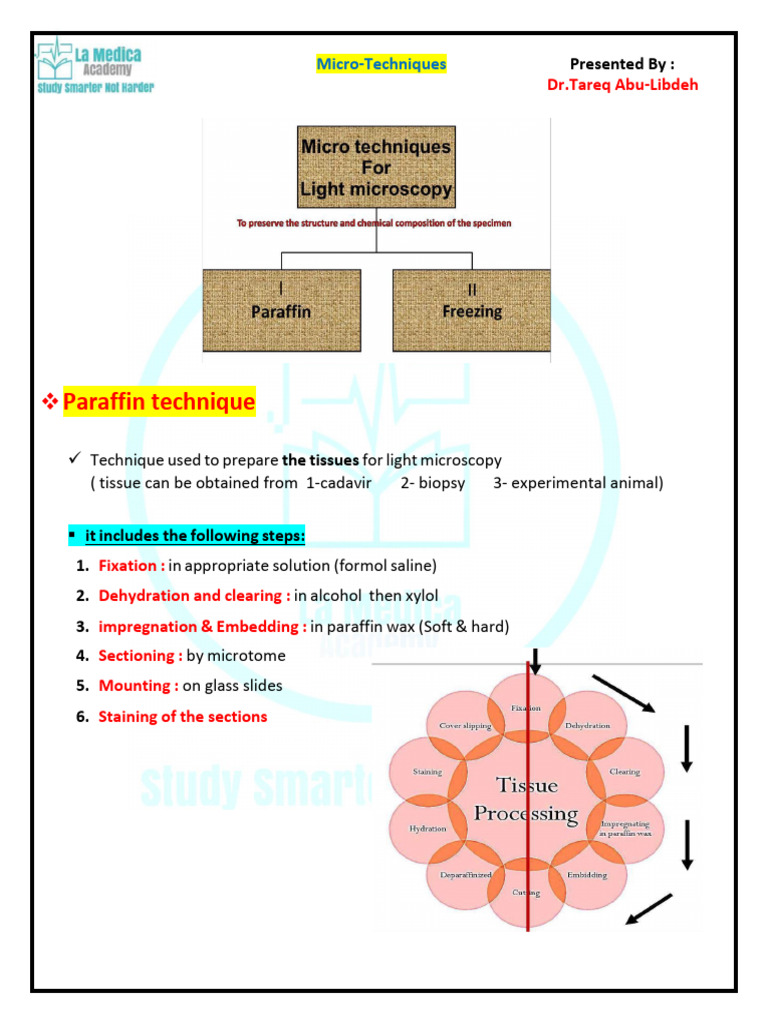 L2 - Micro-Techniques | PDF | Staining | Gel Electrophoresis