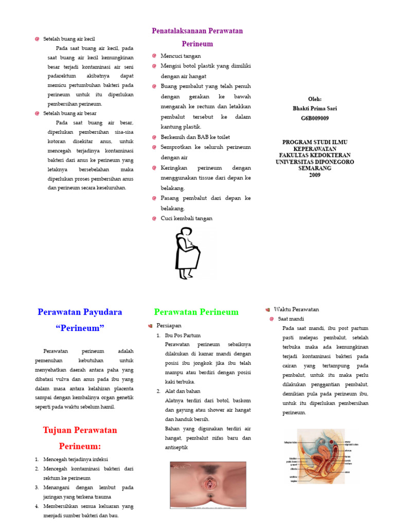 LEAFLET PERAWATAN PERINEUM | PDF