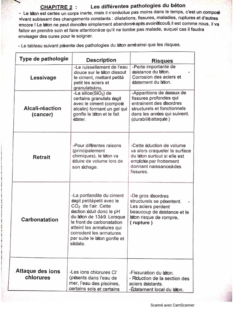 Pathologies Des Ponts en Béton | PDF