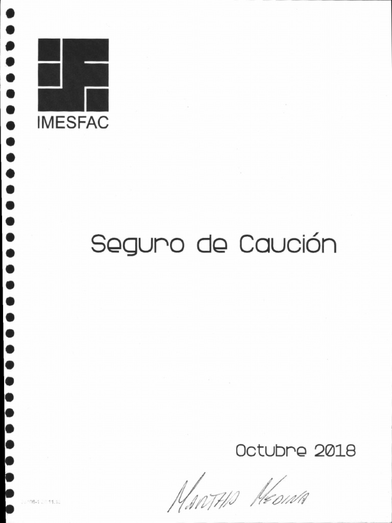 Curso - Segu Caucion | PDF
