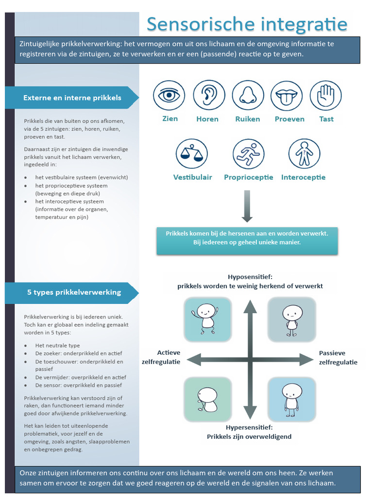 Infografic Sensorische Integratie | PDF