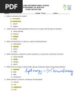 Photosysthesis Test | PDF | Leaf | Photosynthesis