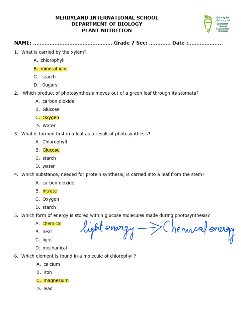 Plant Nutrition Questions Answer Key | PDF | Leaf | Photosynthesis