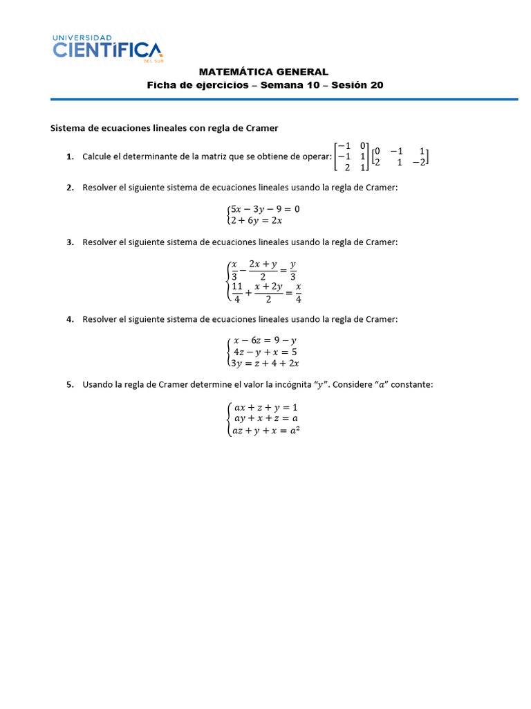 FICHA DE PRÁCTICA 16 - Mat Gral - Sem10 - Sesión 20 (Regla de Cramer) | PDF