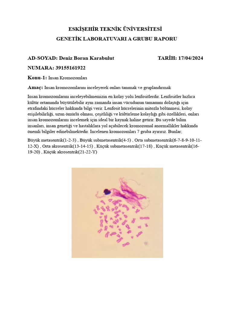 Genetik Lab (h2-h5) Rapor | PDF
