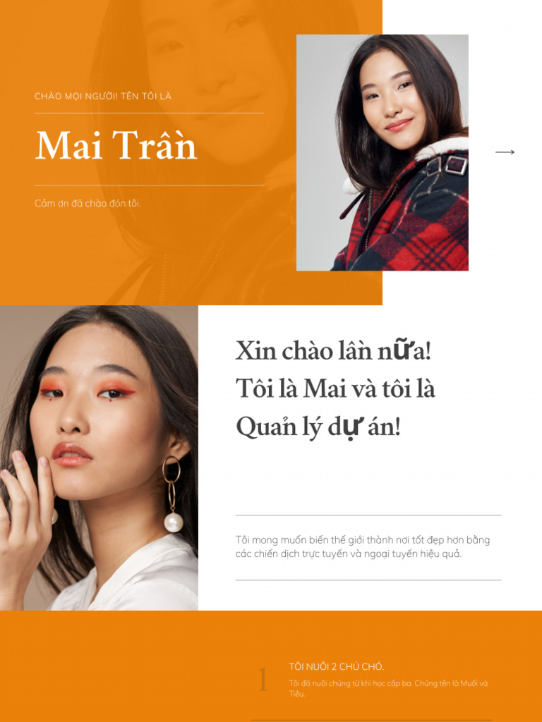 Xám Và Màu Cam Cách Điều Hành Truyền Thống Dịch Vụ Tài Chính Bản Thuyết ...