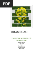 Brassicaceae Family Overview and Diagram | PDF | Plants | Plant Morphology