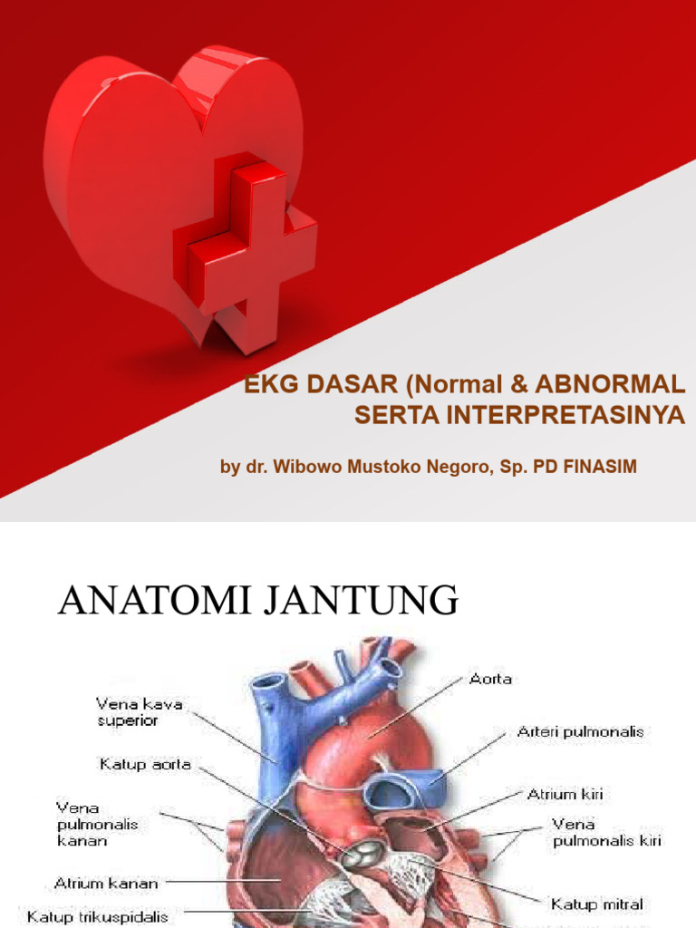 Pelatihan Ekg | PDF