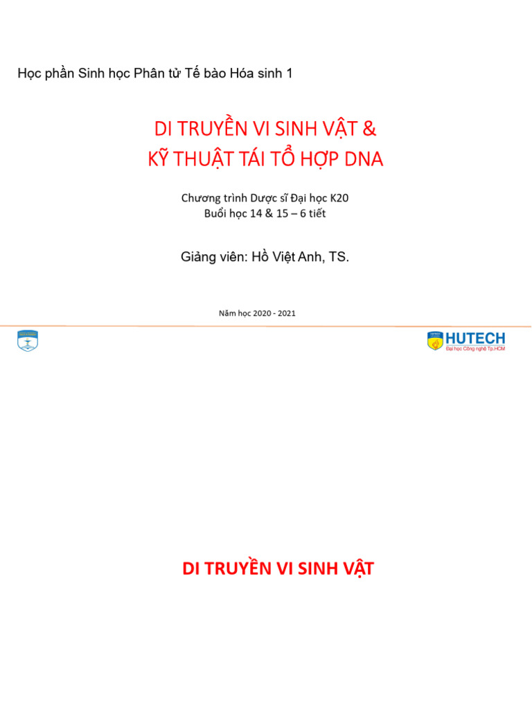 SHPTTBHS-B14-DT VSV & KT TTH Dna | PDF