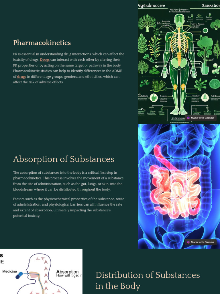 Pharmacokinetics | Download Free PDF | Pharmacokinetics | Drug Metabolism