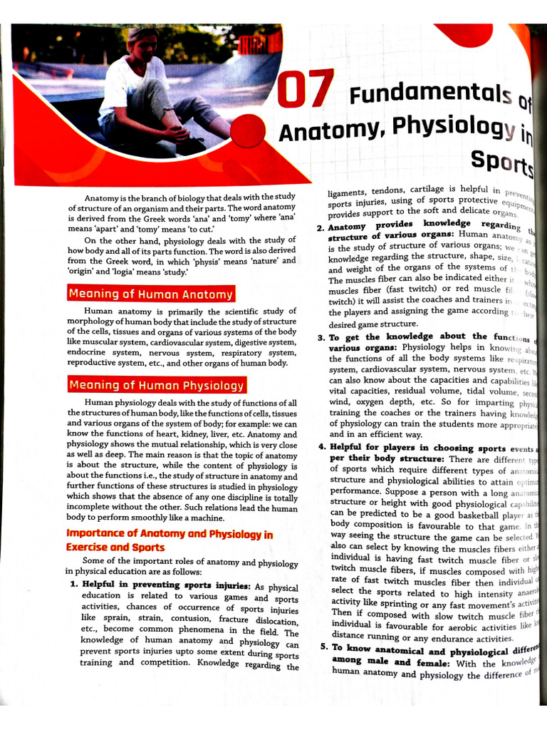Anatomy, Physiology in Sports | PDF