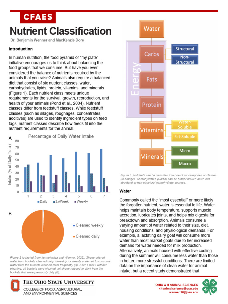 Nutrient Classification Factsheet | Download Free PDF | Nutrients ...