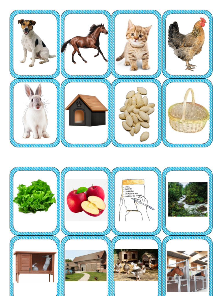 Ouaf Le Chien Vocab | PDF