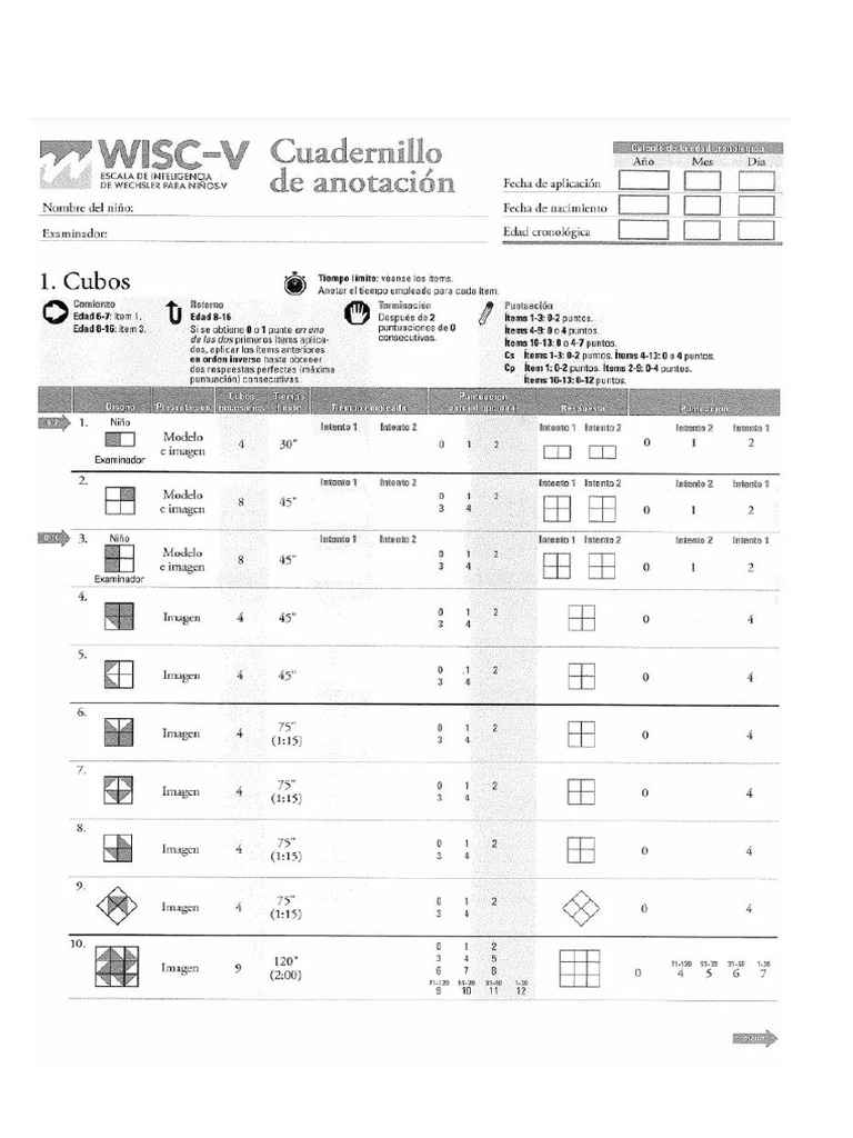 PROTOCOLO WISC V | PDF