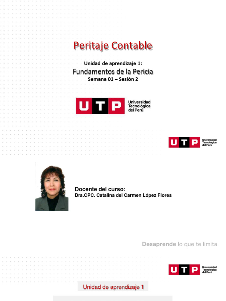 Fundamentos de Pericia Contable | PDF | Auditoría | Contador