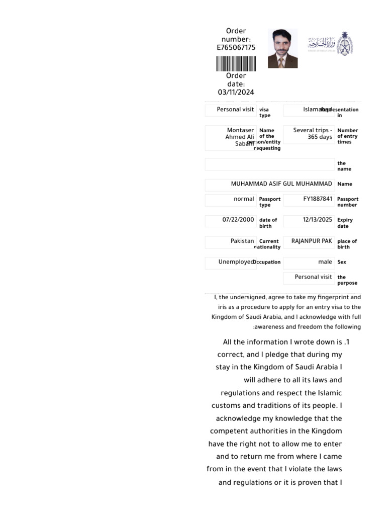 Visa Platform | PDF | Travel Visa | Saudi Arabia