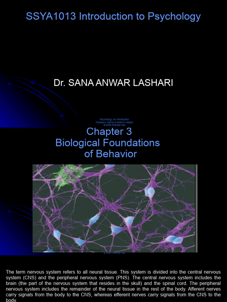 Structure and Function of Neuron | Download Free PDF | Nervous System ...