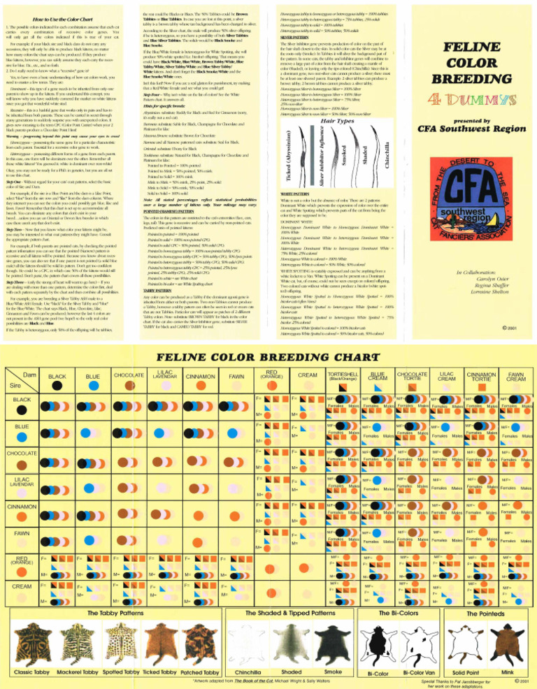 Understanding Cat Color Genetics | PDF