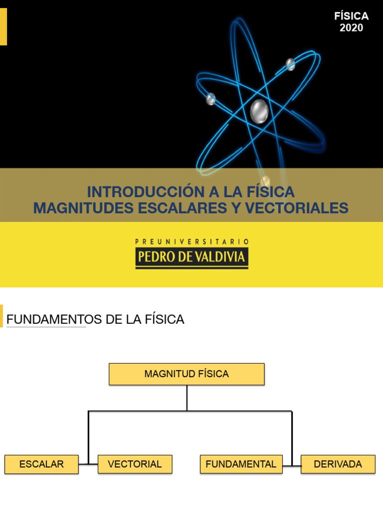 Magnitudes Vectoriales | PDF | Vector Euclidiano | Escalar (Matemáticas)